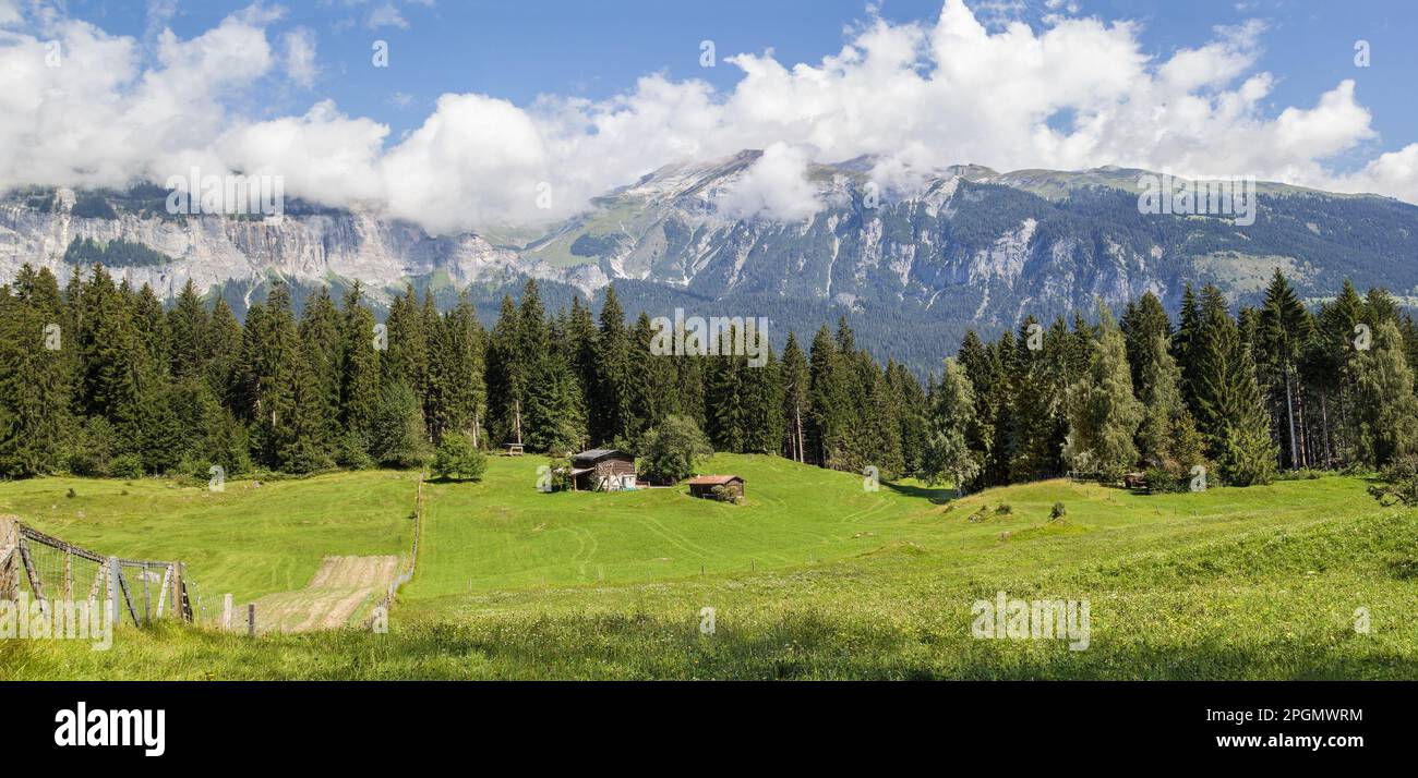 Panoramic view of idyllic hilly landscape with grass farming land and ...