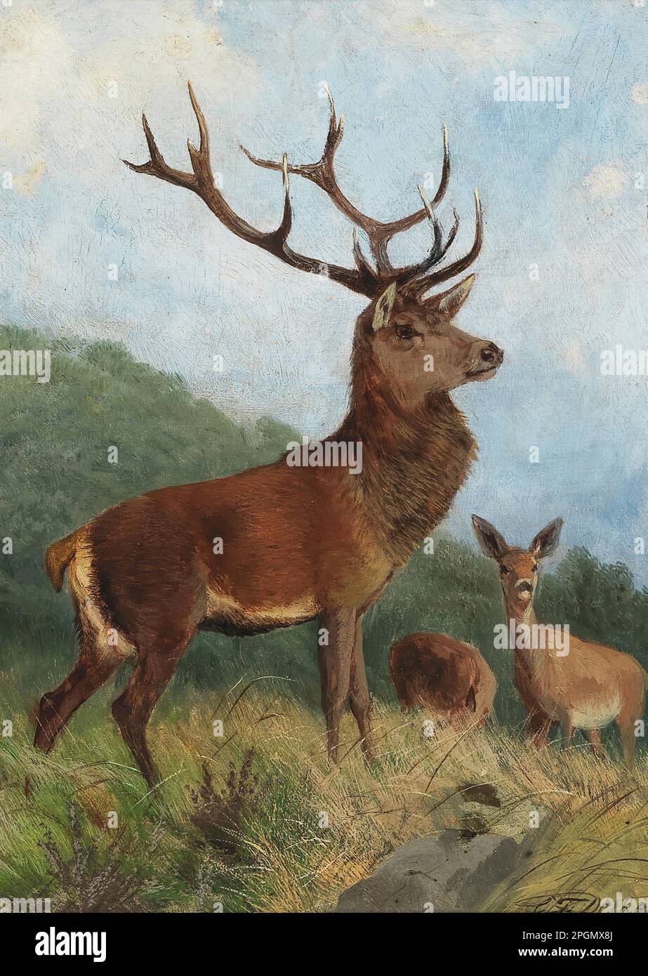 Deiker Carl Friedrich - a Dominant Stag - German School - 19th Century ...