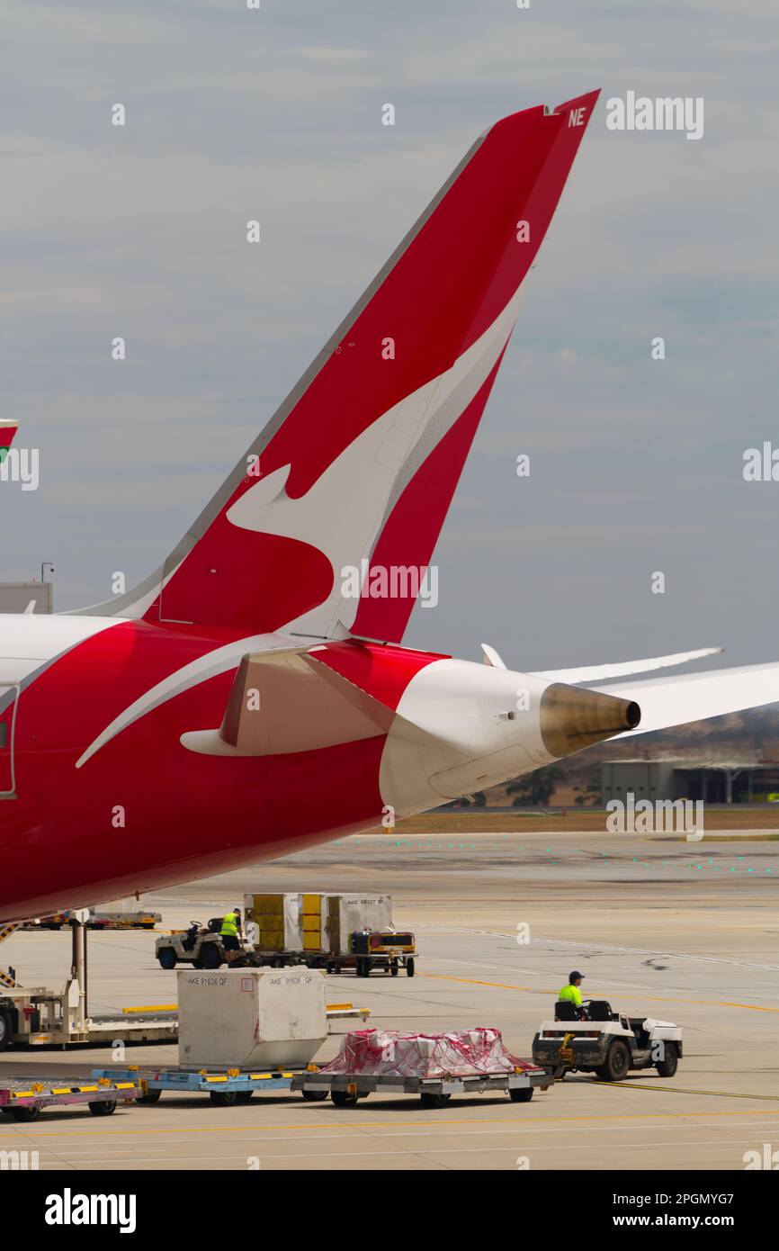 Qantas tail view and airport ground crew loading and unloading cargo ...