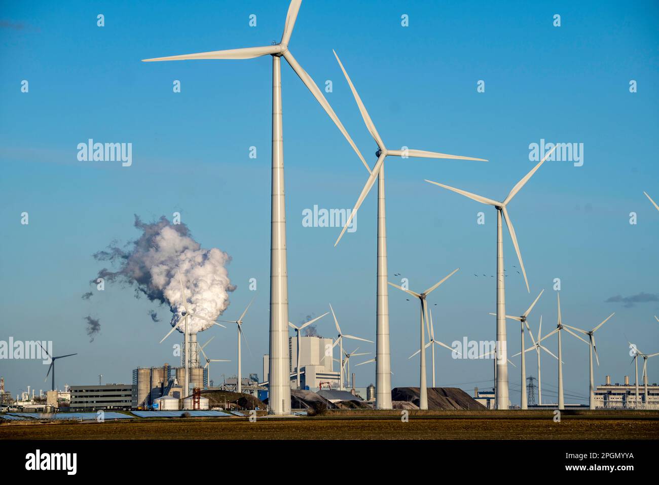 RWE coal-fired power plant Eemshavencentrale, in the seaport of ...