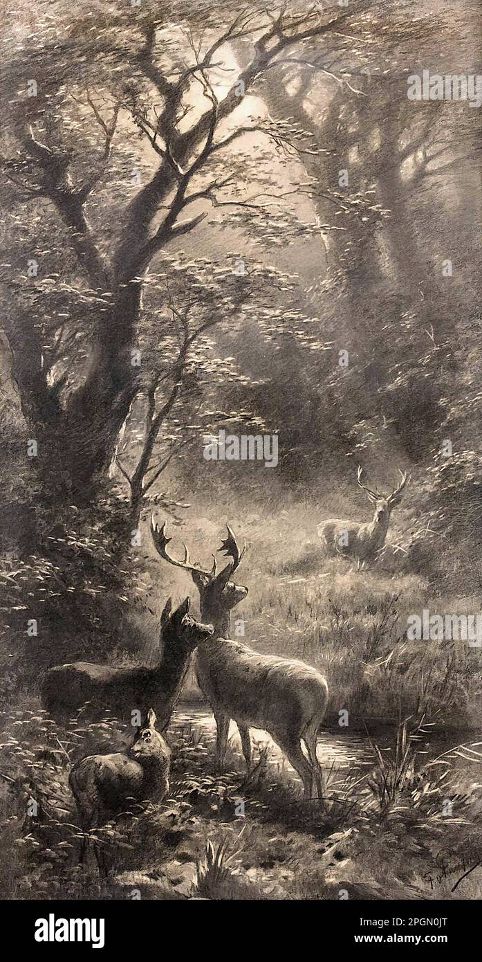 Pausinger Franz Xaver Von - Deer in a Forest Clearing - German School ...