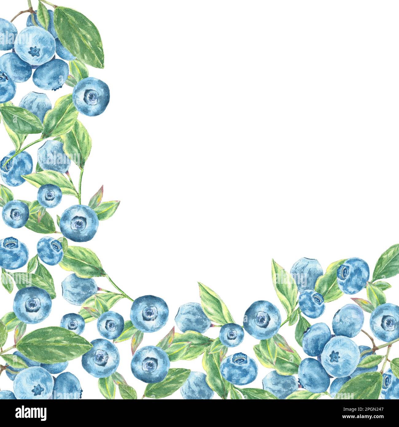 Watercolor blueberry illustration frame. Background hand-painted in ...