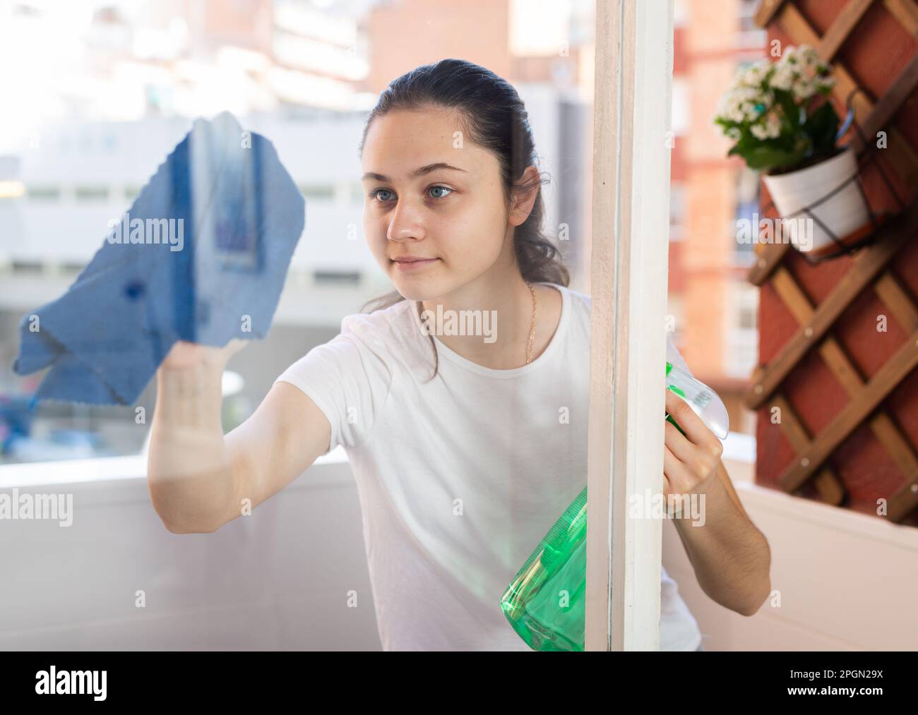 Portrait of young beautiful woman washing windows Stock Photo - Alamy