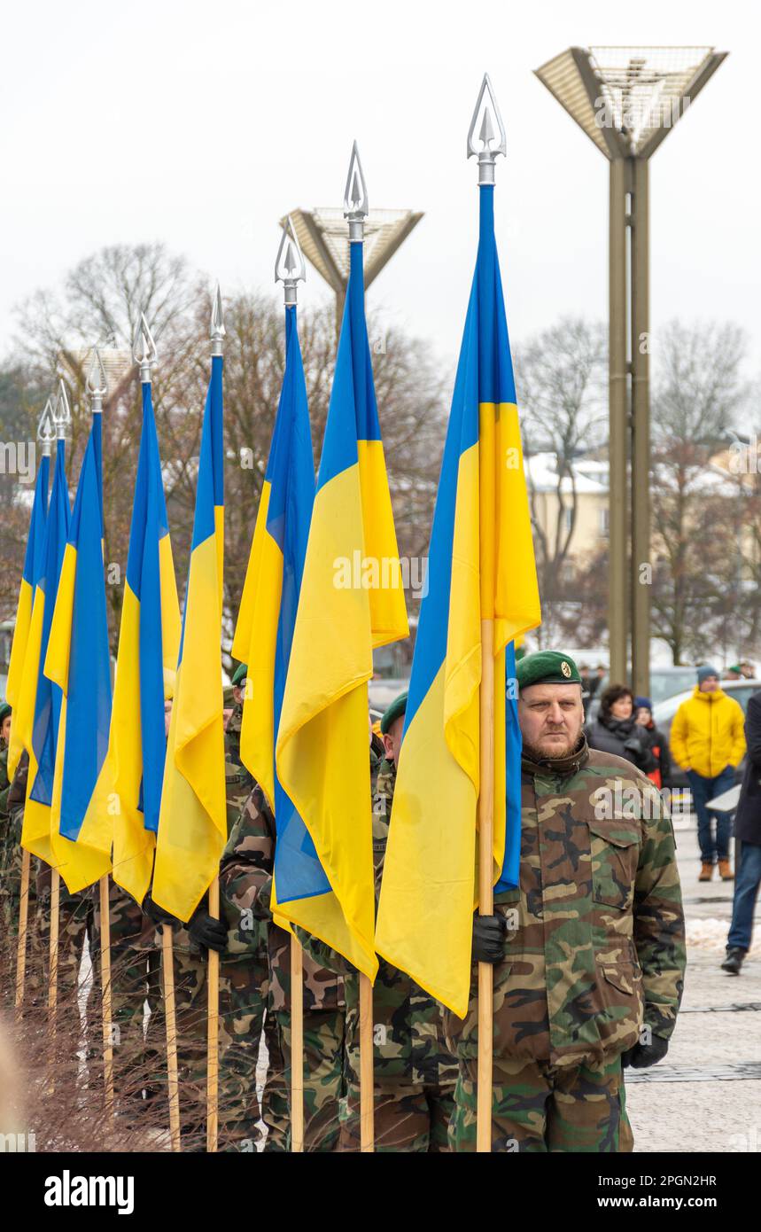 Row of soldiers in military uniforms with Ukrainian flags, vertical ...