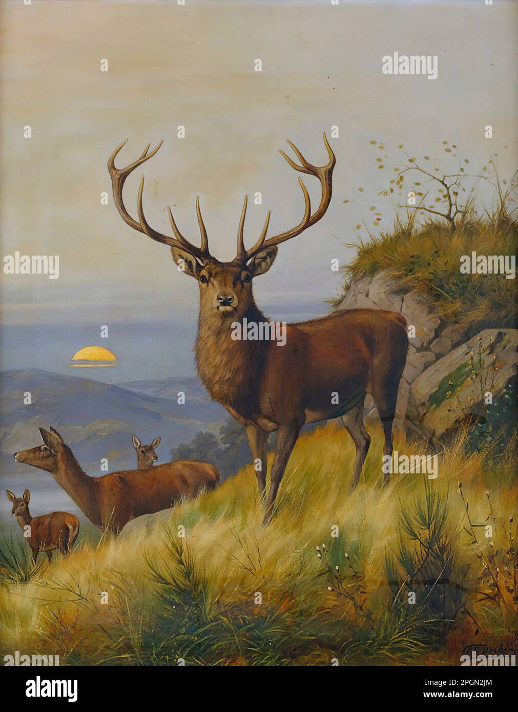 Deiker Carl Friedrich - Deer - German School - 19th Century - Deiker ...