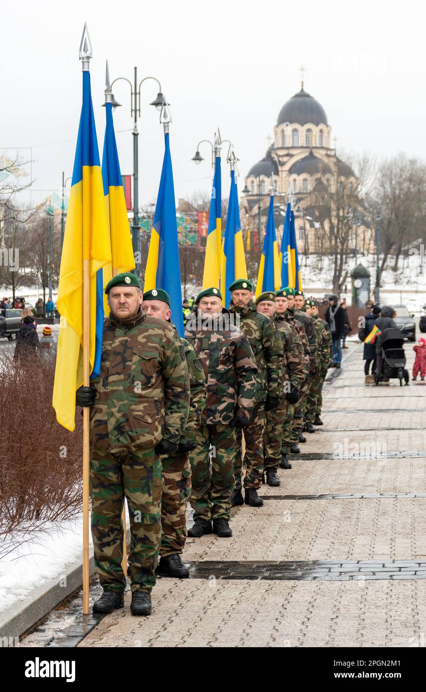 Row of soldiers in military uniforms with Ukrainian flags, vertical ...