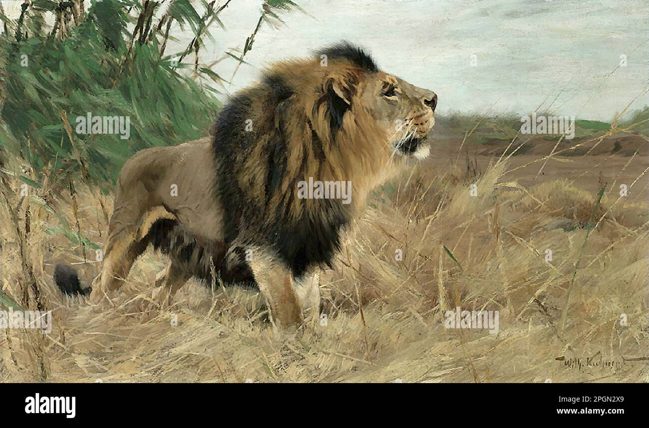 Kuhnert Wilhelm - Berber Lion - German School - 19th and Early 20th ...