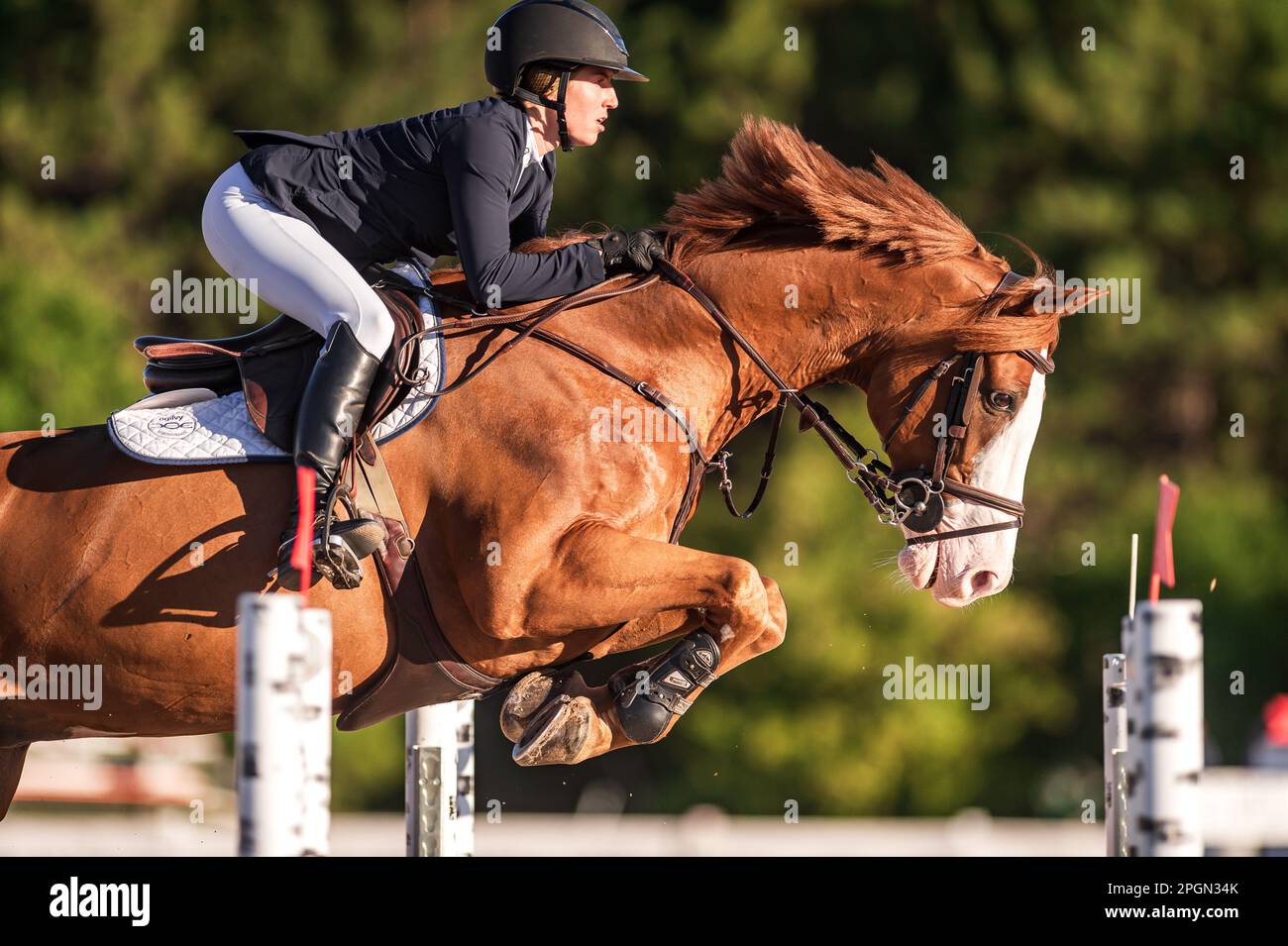 Ali Ramsay, 2022 Canadian Show Jumping Champion shown competing during ...