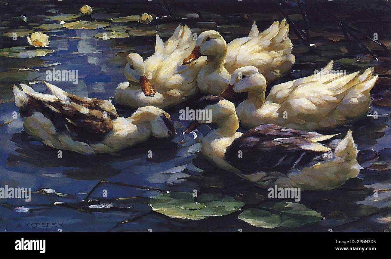 Koester Alexander - Five Ducks in a Water Lily Pond - German School ...