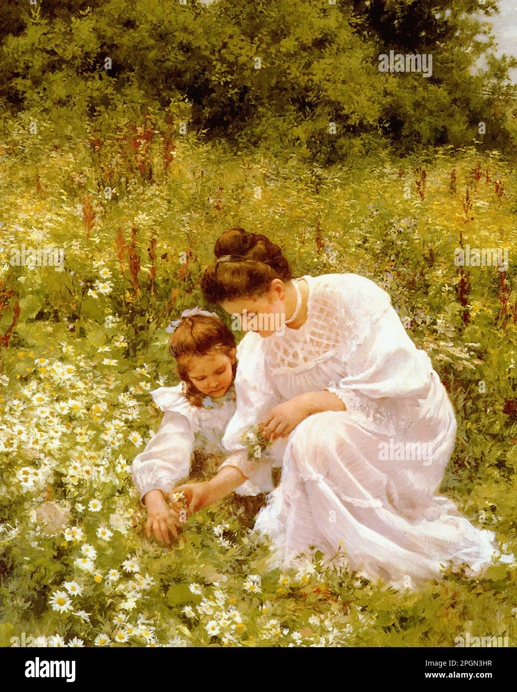 Seeger Hermann - Picking Daises - German School - 19th Century - Seeger ...