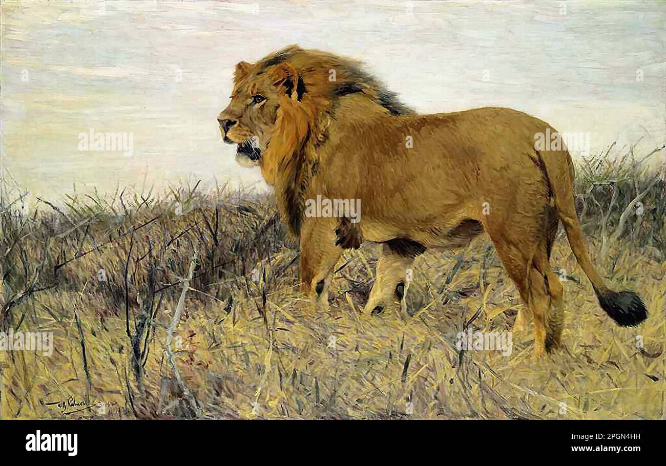 Kuhnert Wilhelm - a Lion 1 - German School - 19th and Early 20th ...