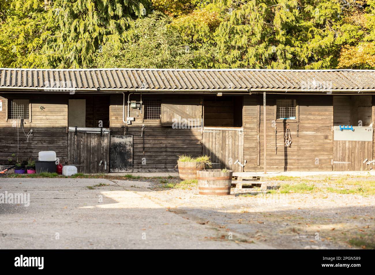 Wooden Horse Stable block with doors open in isolation Stock Photo - Alamy
