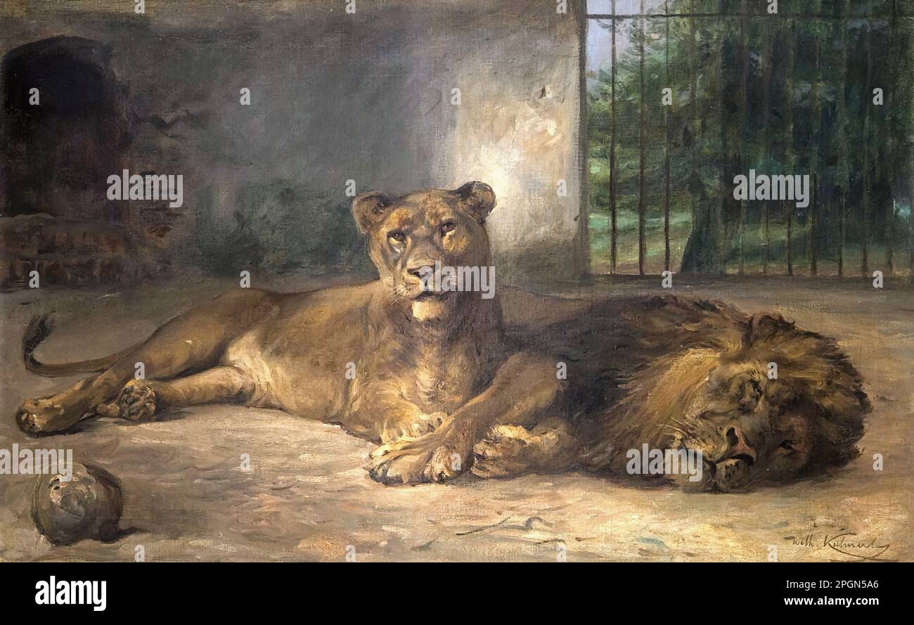 Kuhnert Wilhelm - Pair of lions in the cage - German School - 19th and ...