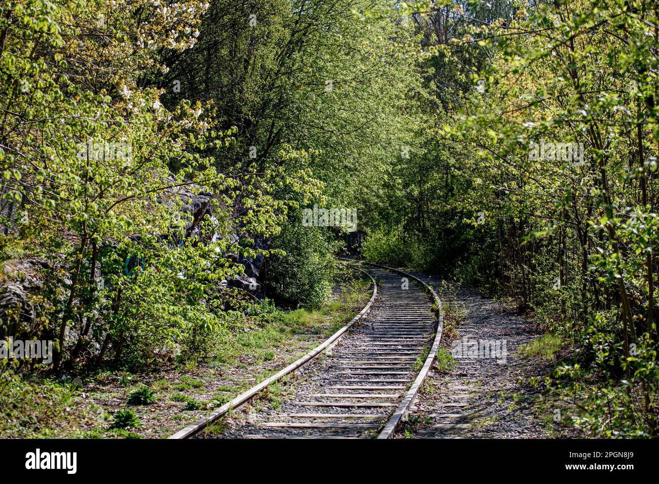 railroad tracks in a park among thick bushes Stock Photo - Alamy