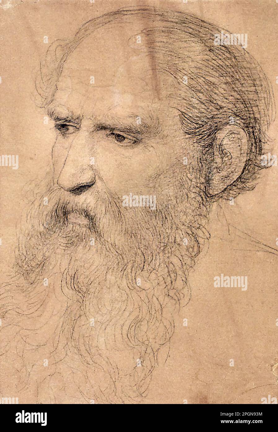 Ellenrieder Marie - Head of an Old Man - German School - 19th Century ...