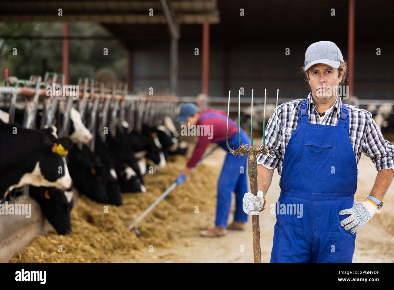 Lithuanian dairy farm hi-res stock photography and images - Alamy