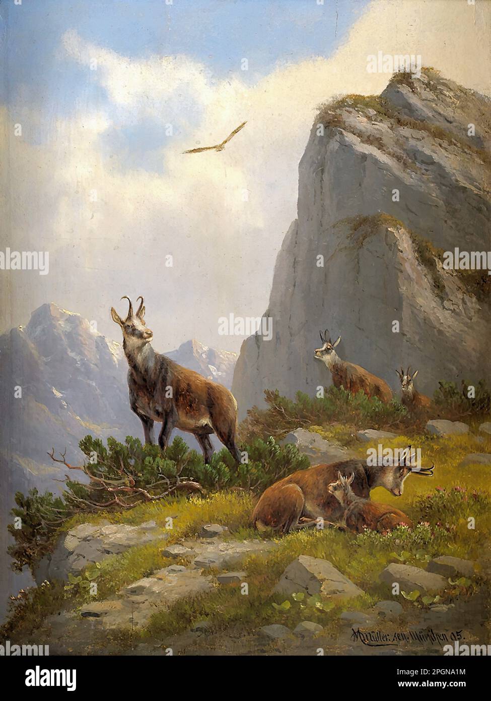 Maler muller hi-res stock photography and images - Alamy