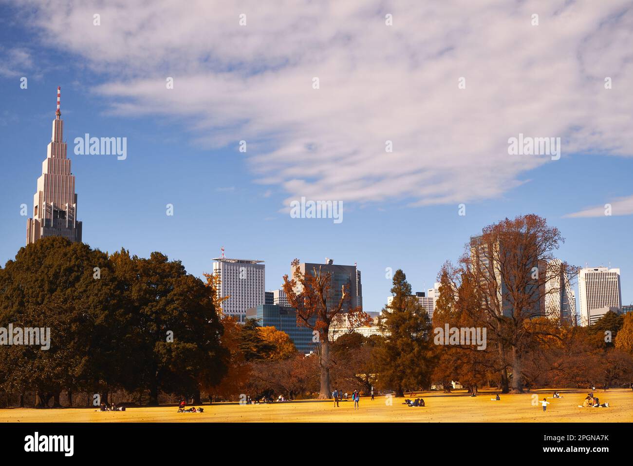 People resting in Shinjuku gyoen park in autumn red maples colour and ...