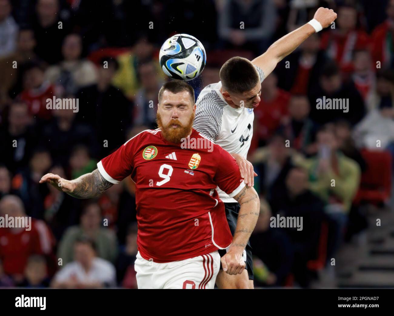 BUDAPEST, HUNGARY - MARCH 23: Martin Adam of Hungary battles for ...