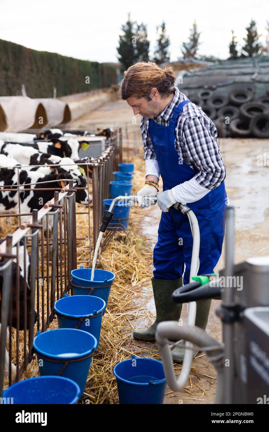 Focused adult male farmworker in uniform drawing water into buckets for ...