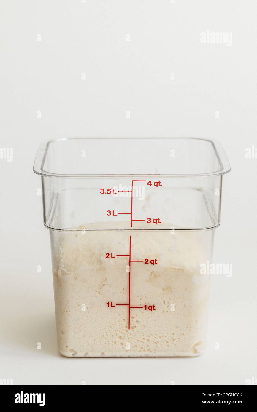 making sourdough: bread dough in clear Polycarbonate square food ...