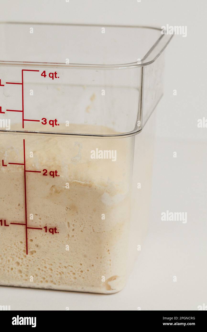 making sourdough: bread dough in clear Polycarbonate square food ...