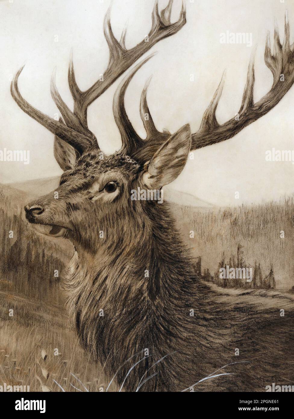 Pausinger Franz Xaver Von - Hirsch - German School - 19th Century ...