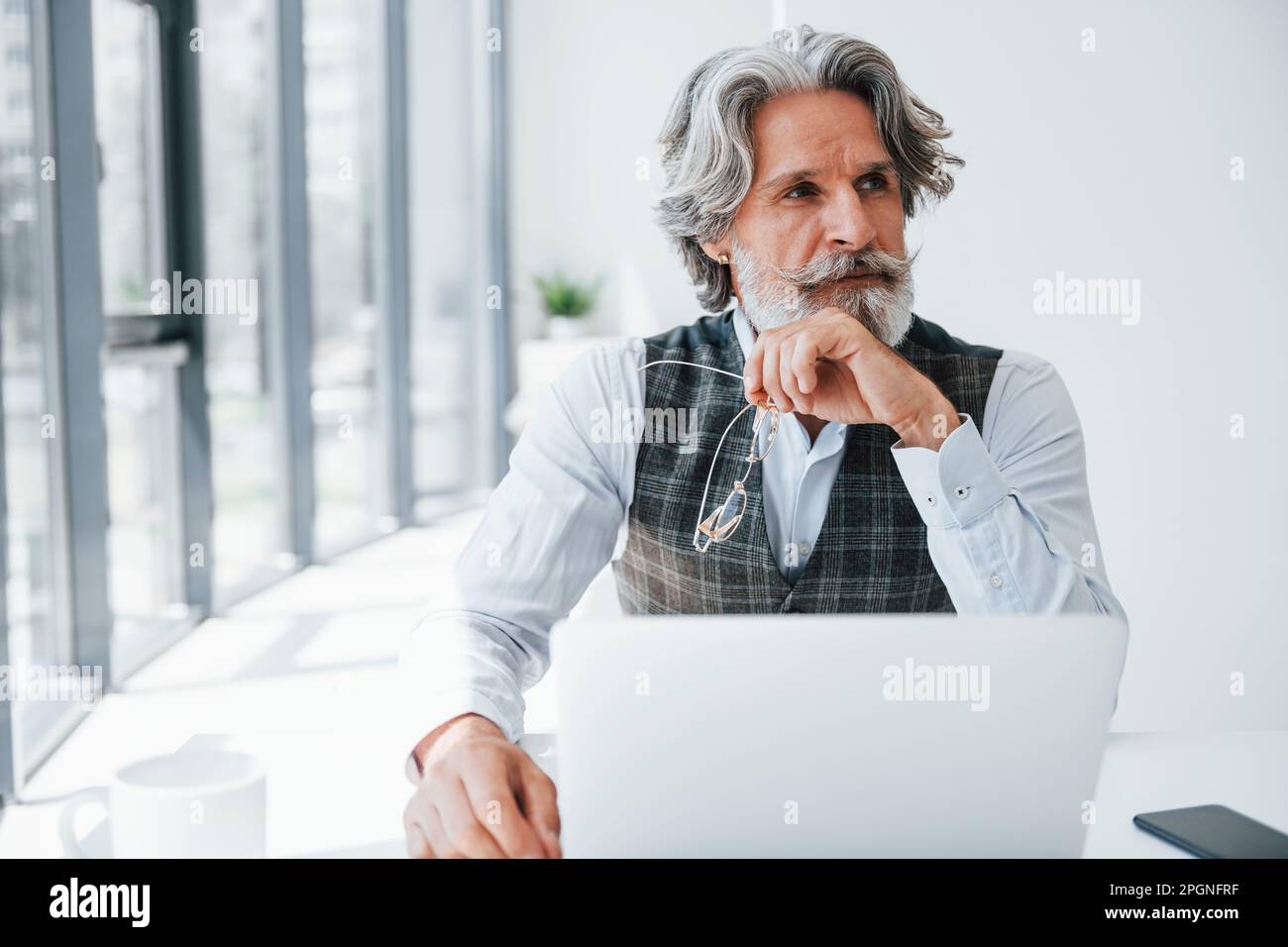 Senior stylish modern man with grey hair and beard indoors Stock Photo ...