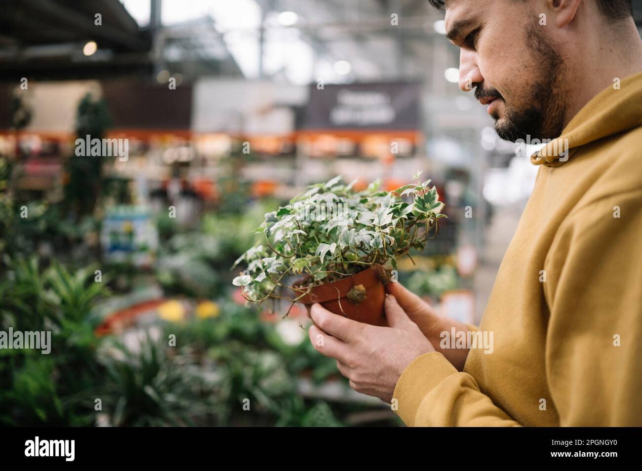 Man examining plant in plant hi-res stock photography and images - Alamy