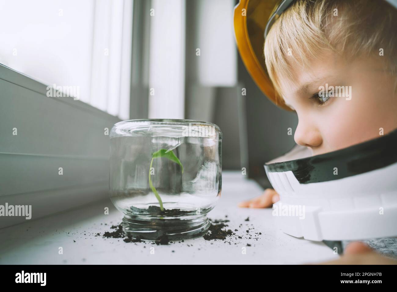 Boy wearing space helmet looking at plant in glass jar Stock Photo - Alamy