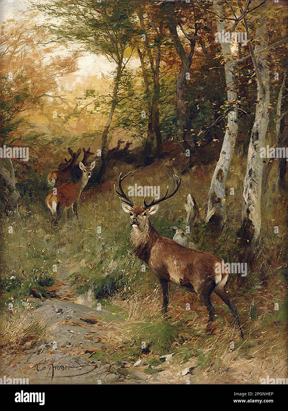 Hirsch mit hi-res stock photography and images - Alamy