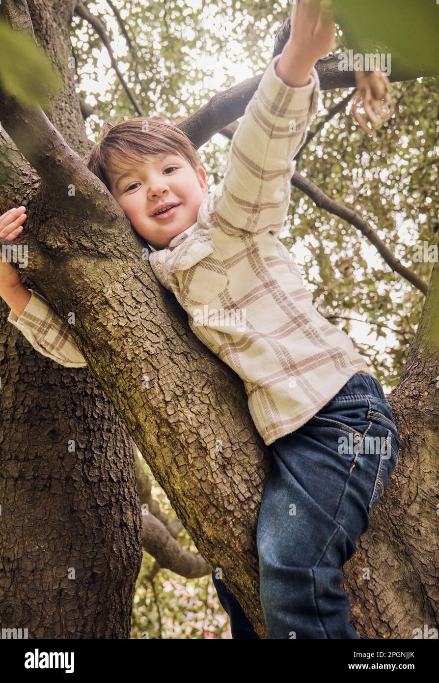 Boy sitting tree hi-res stock photography and images - Alamy