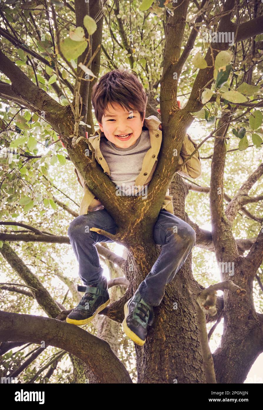 Boy sitting leaning tree hi-res stock photography and images - Alamy