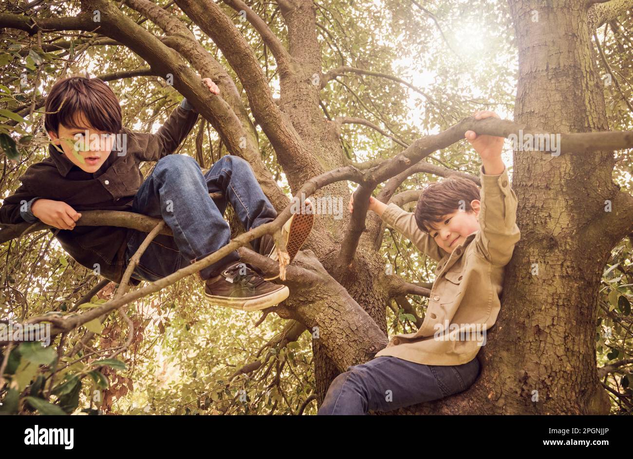 Playful brothers hi-res stock photography and images - Alamy