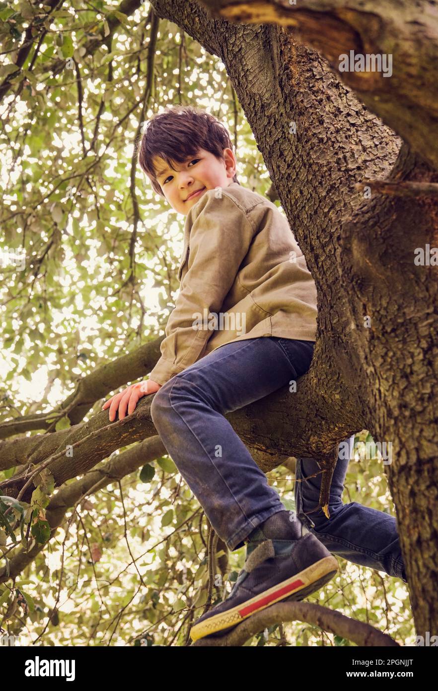 Boy sitting on tree branch hi-res stock photography and images - Alamy