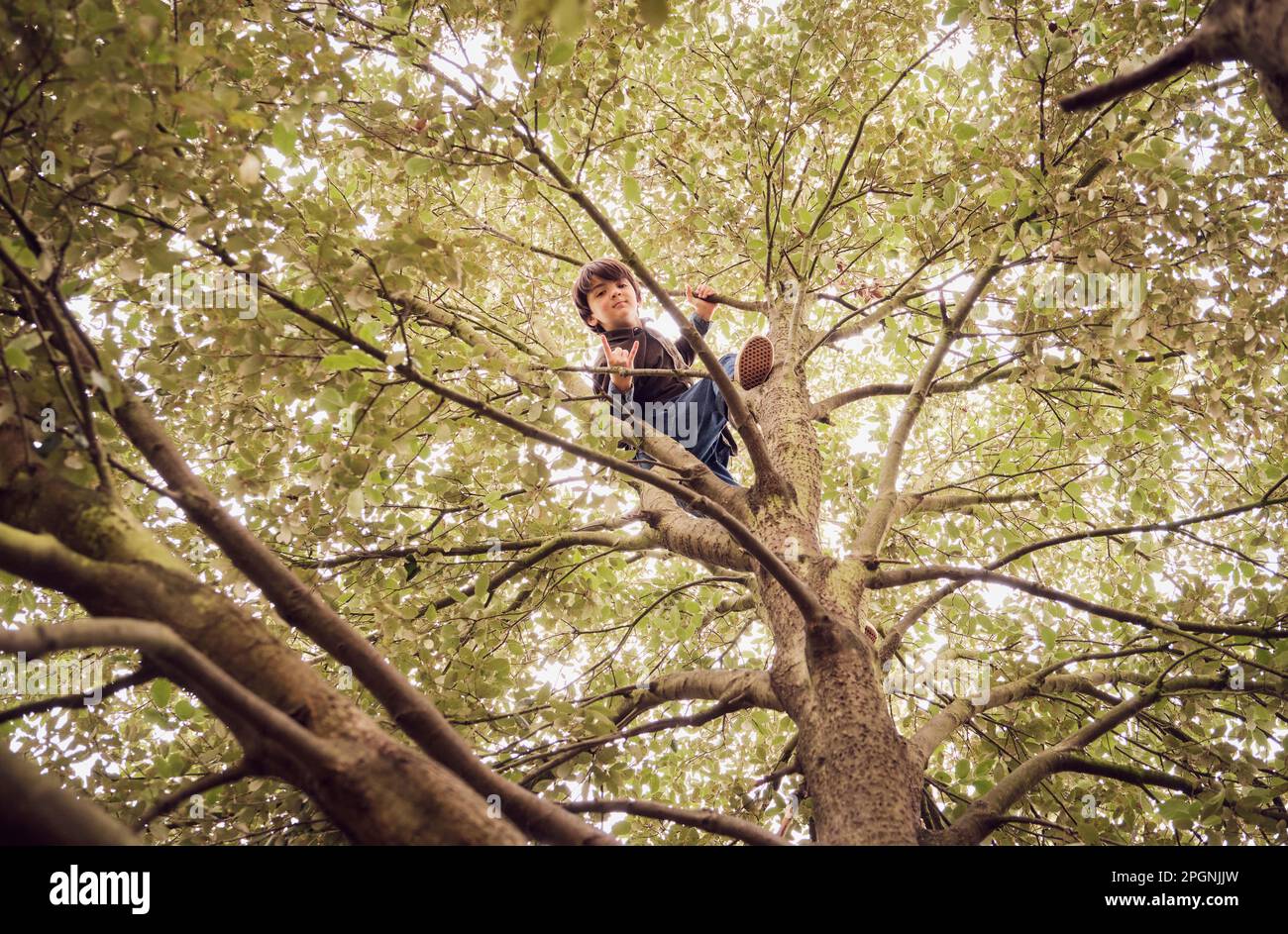 Boy looking at sign hi-res stock photography and images - Alamy
