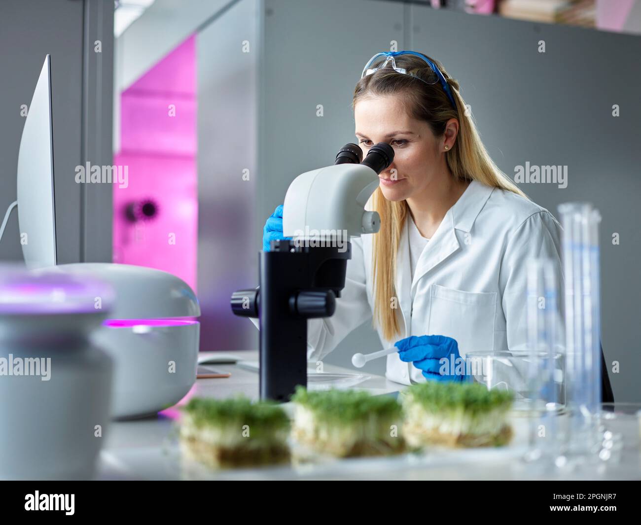 Scientist looking through microscope hi-res stock photography and ...