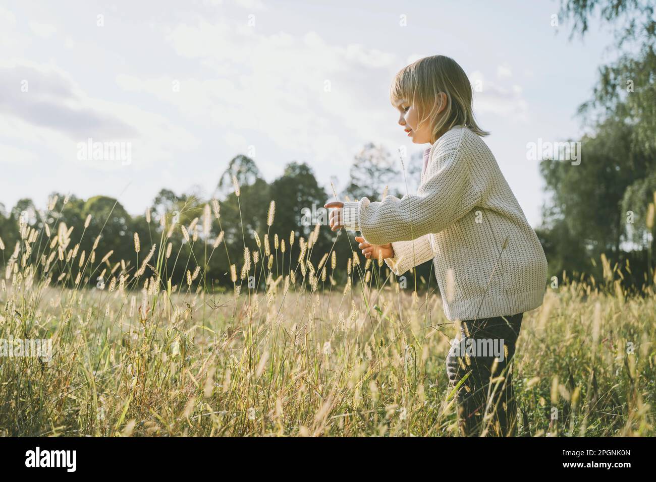 Sunny field person hi-res stock photography and images - Alamy