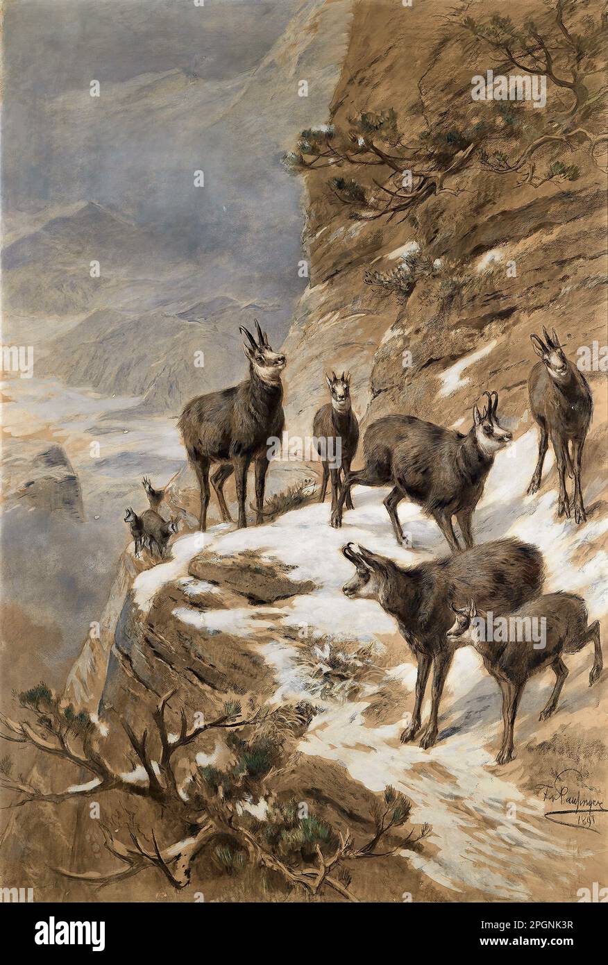 Pausinger Franz Xaver Von - Chamois in High Mountains - German School ...