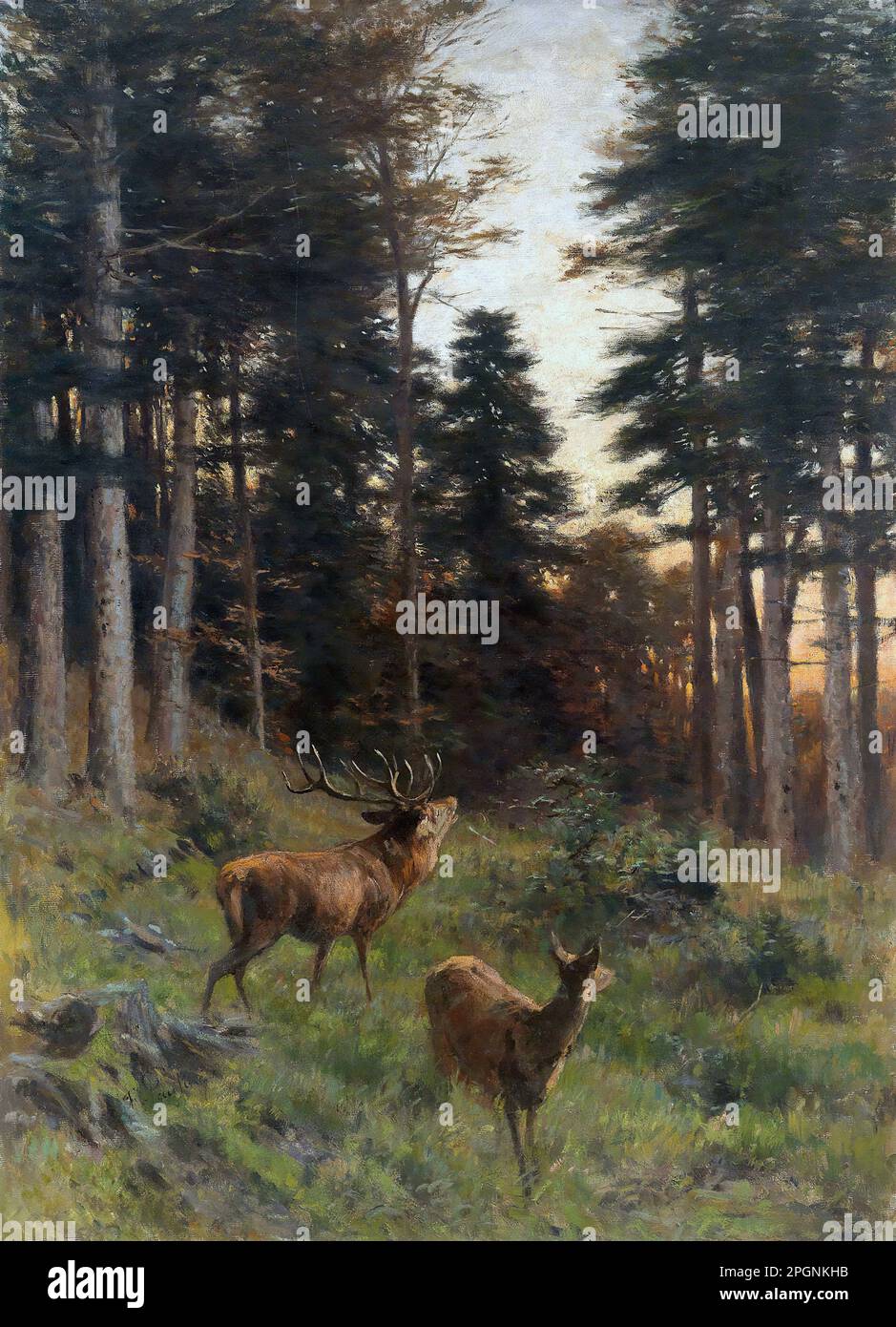 Franz von pausinger hi-res stock photography and images - Alamy