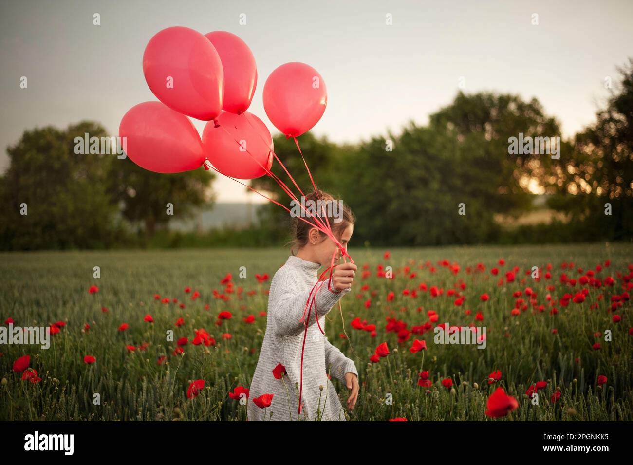 Girl walking with balloons in poppy field Stock Photo - Alamy