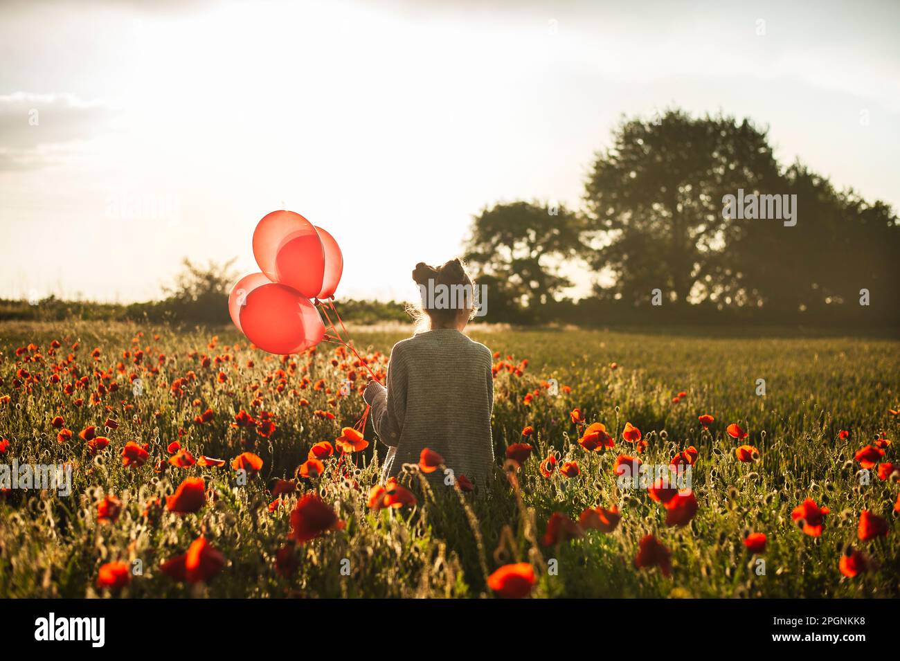 Girl walking with balloons amidst poppy flowers Stock Photo - Alamy