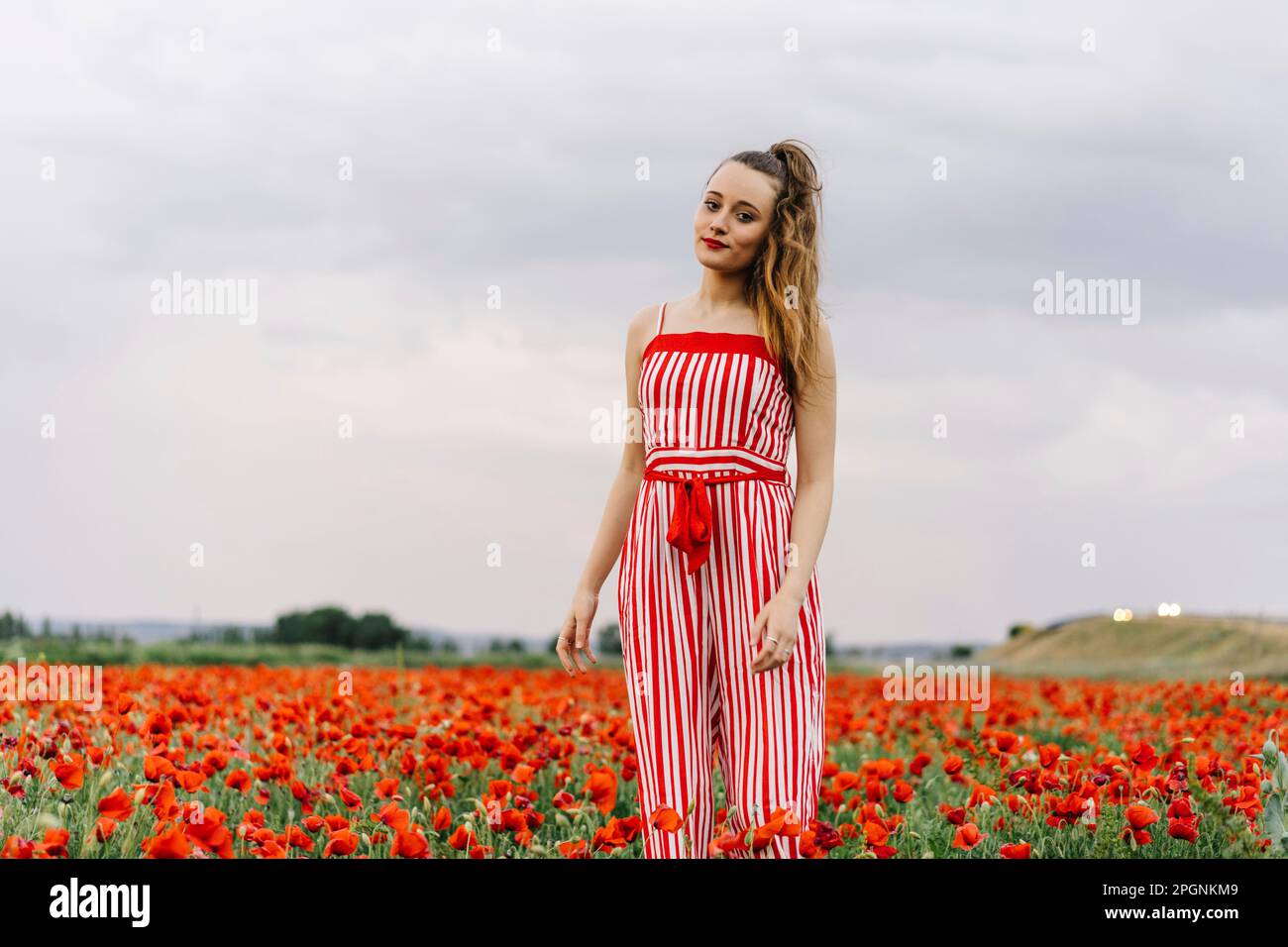 Poppy field portrait hi-res stock photography and images - Alamy
