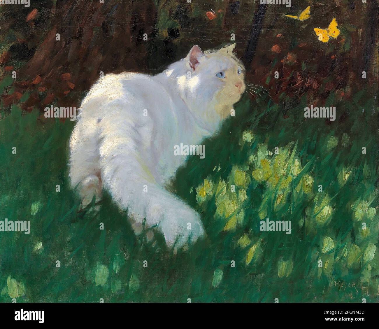Heyer Arthur - White Cat And Butterflies - German School - 19th and ...
