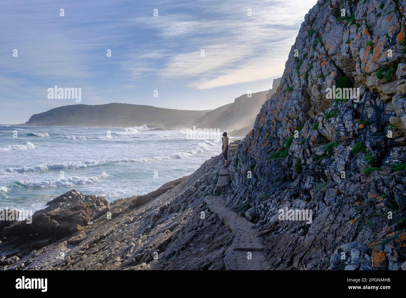 South Africa, Eastern Cape, Male hiker on narrow coastal boardwalk in Plettenberg Bay Stock ...