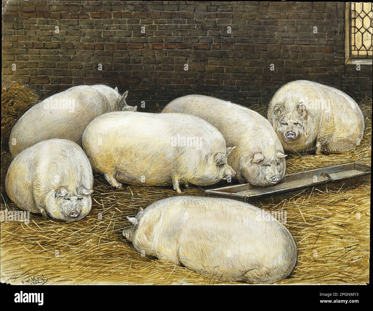 Shaw farm hi-res stock photography and images - Alamy