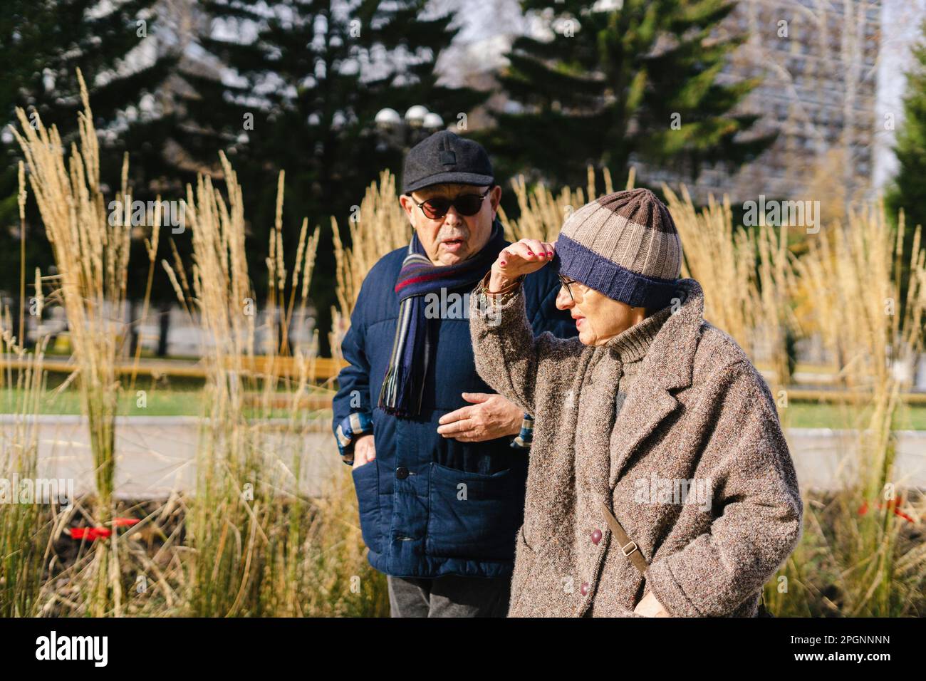 Elderly positive female talking hi-res stock photography and images - Alamy