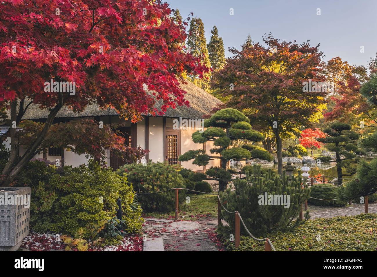 Germany, Hamburg, Japanese teahouse in Planten un Blomen park Stock ...
