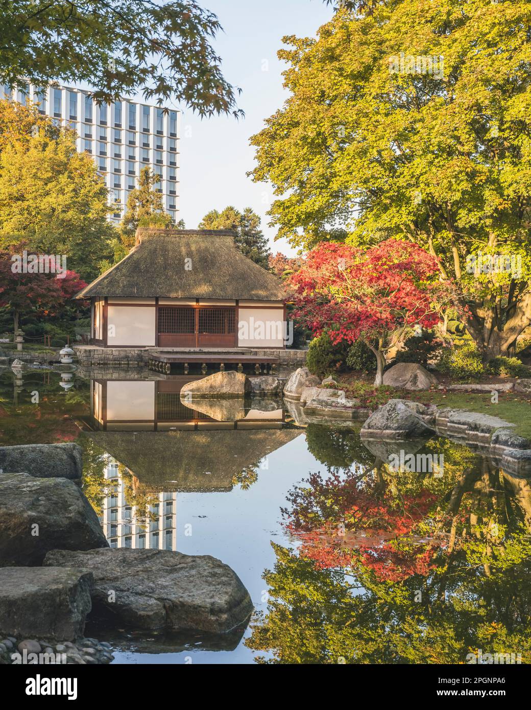Germany, Hamburg, Pond and Japanese teahouse in Planten un Blomen park ...
