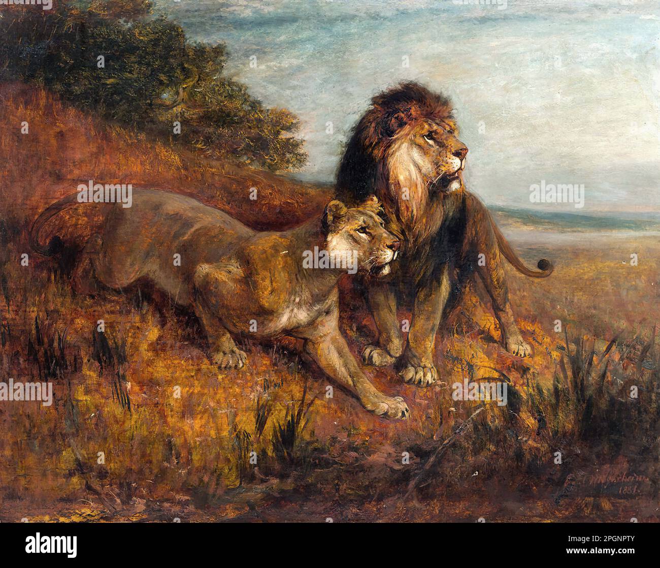 Meyerheim Paul Friedrich - Two Lions in the Savanna - German School ...